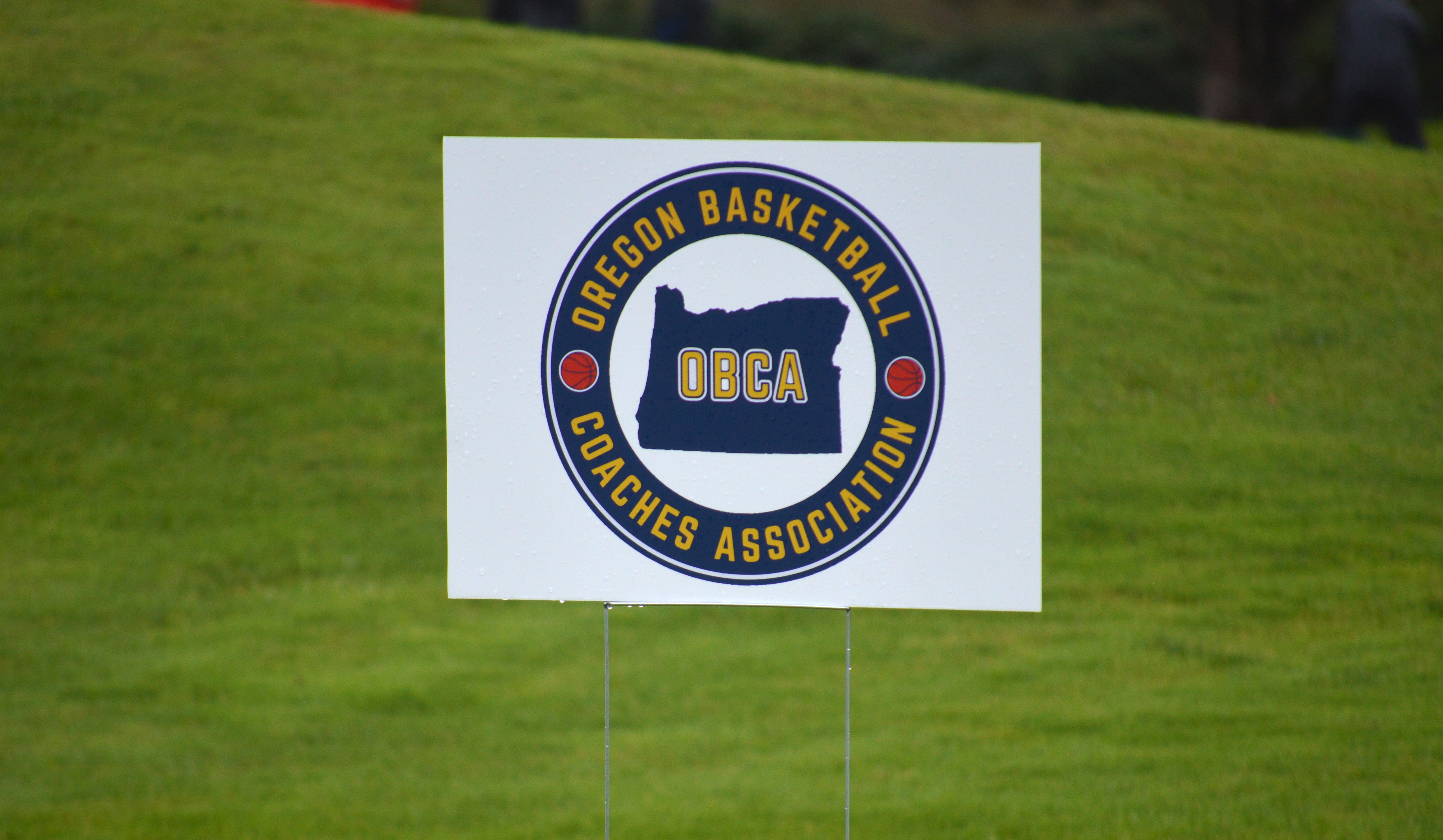 OBCA Coaching Carousel